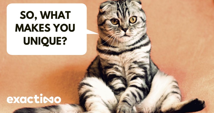 Funny Answers to "What Makes You Unique?" Interview Question | Exactimo